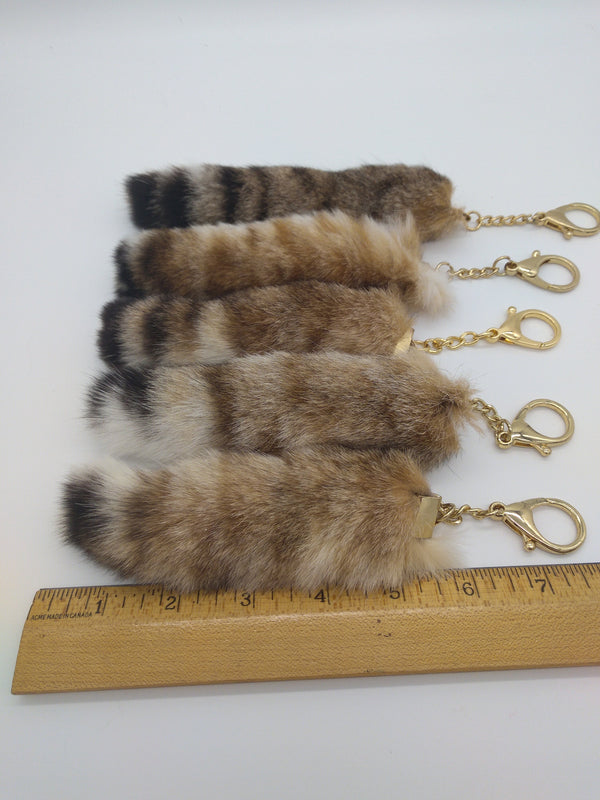 Ethically sourced Bobcat Tail mounted on Key Chain, for Keys, Decorati ...